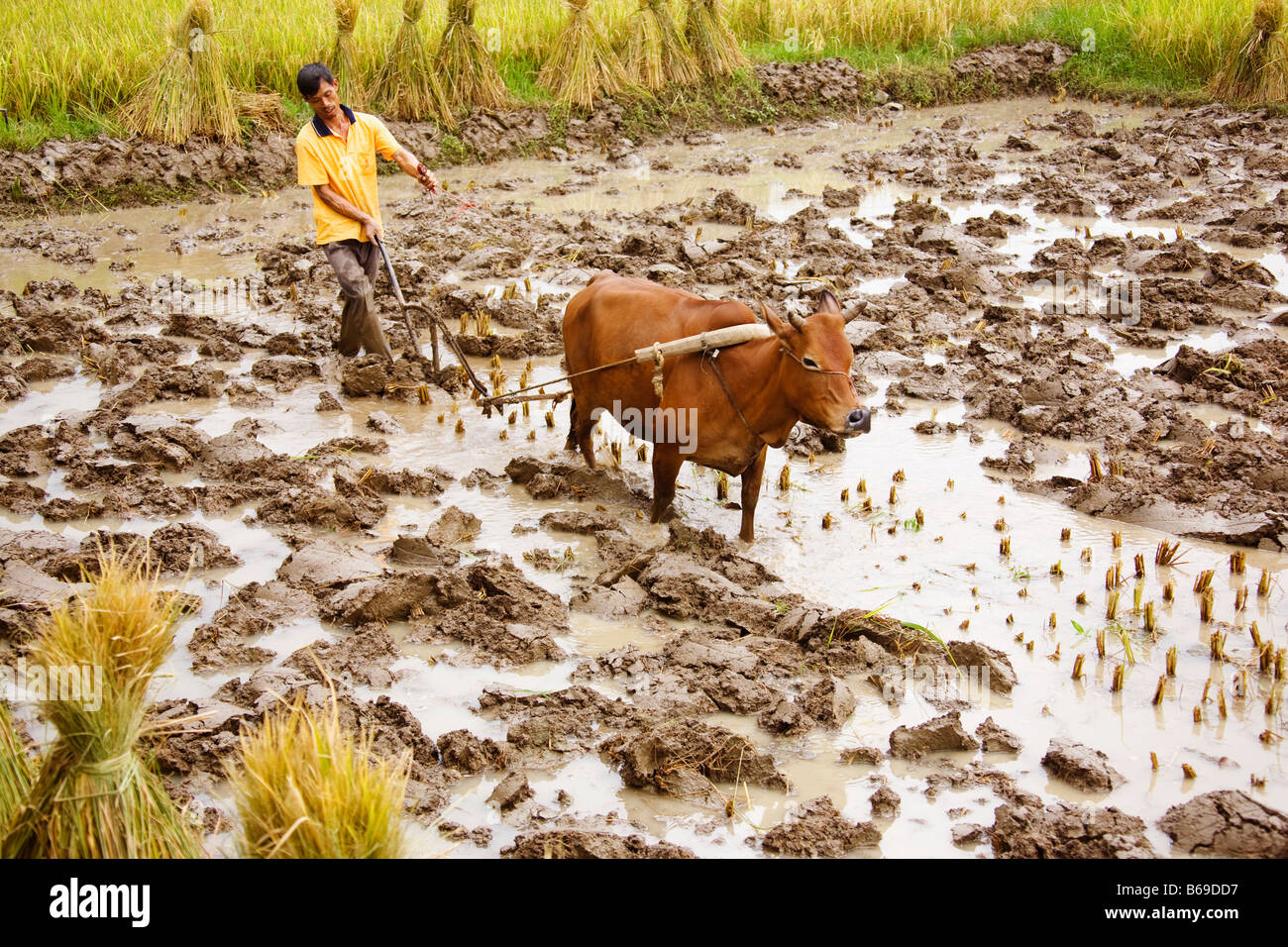 Working holding agriculture ploughing field hi-res stock photography ...