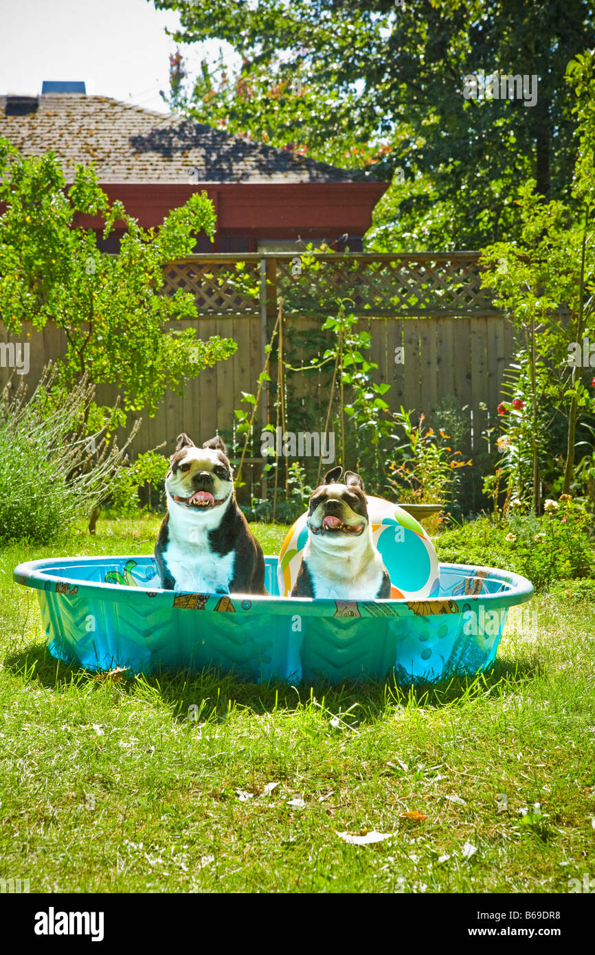 Plastic wading pool hi-res stock photography and images - Alamy