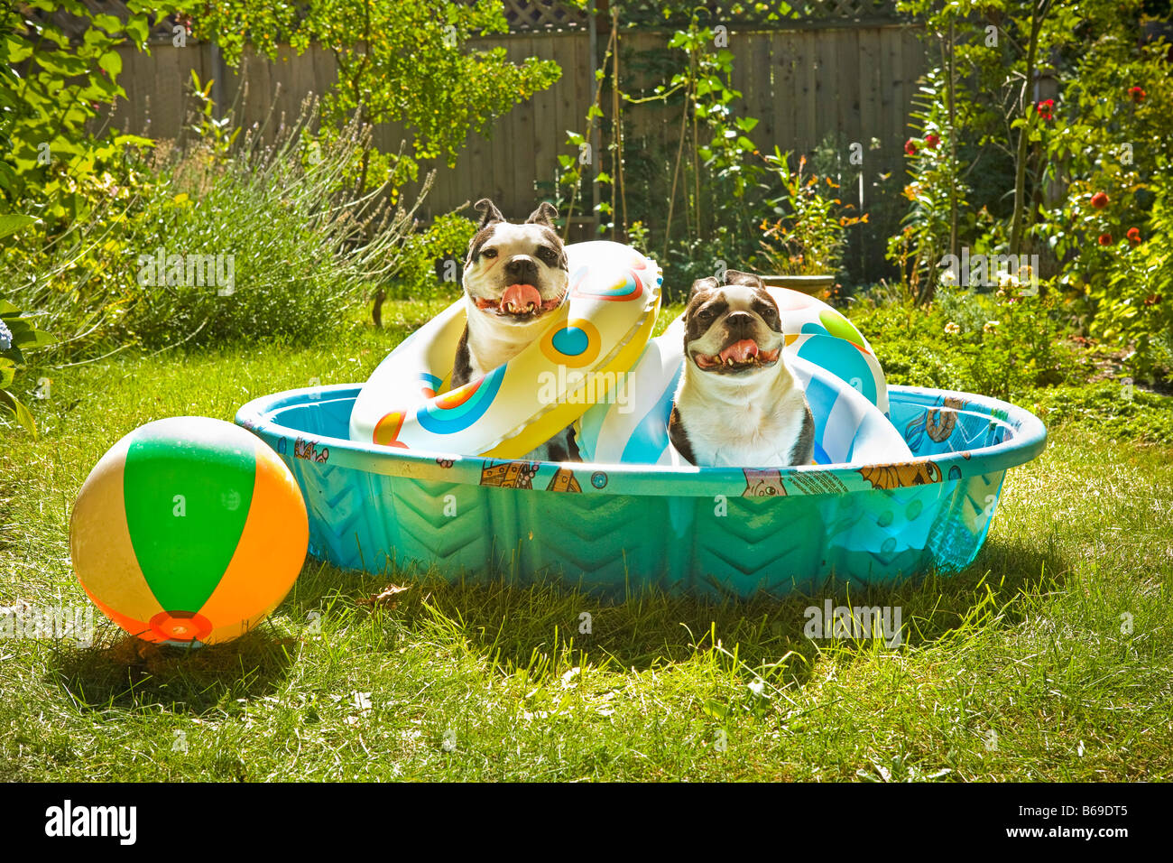 Inflatable paddling pool hi-res stock photography and images - Alamy
