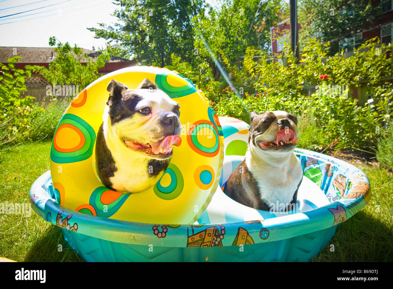 Inflatable paddling pool hi-res stock photography and images - Alamy