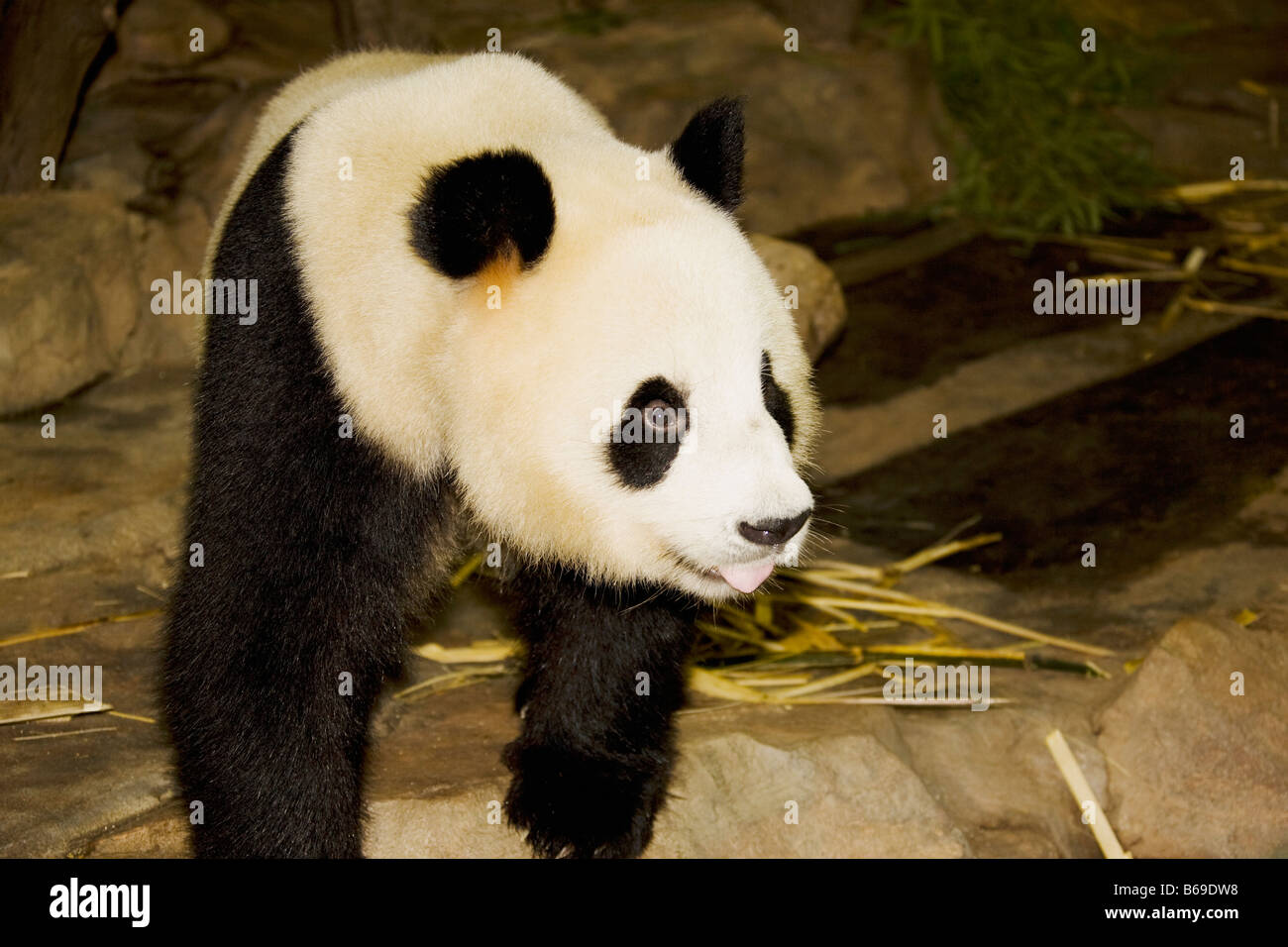 Xiangjiang High Resolution Stock Photography and Images - Alamy