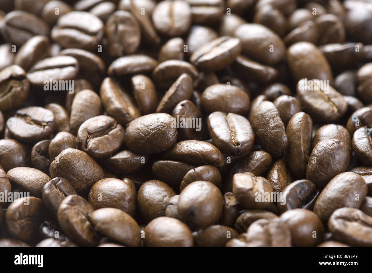 Close up of coffee beans Stock Photo - Alamy