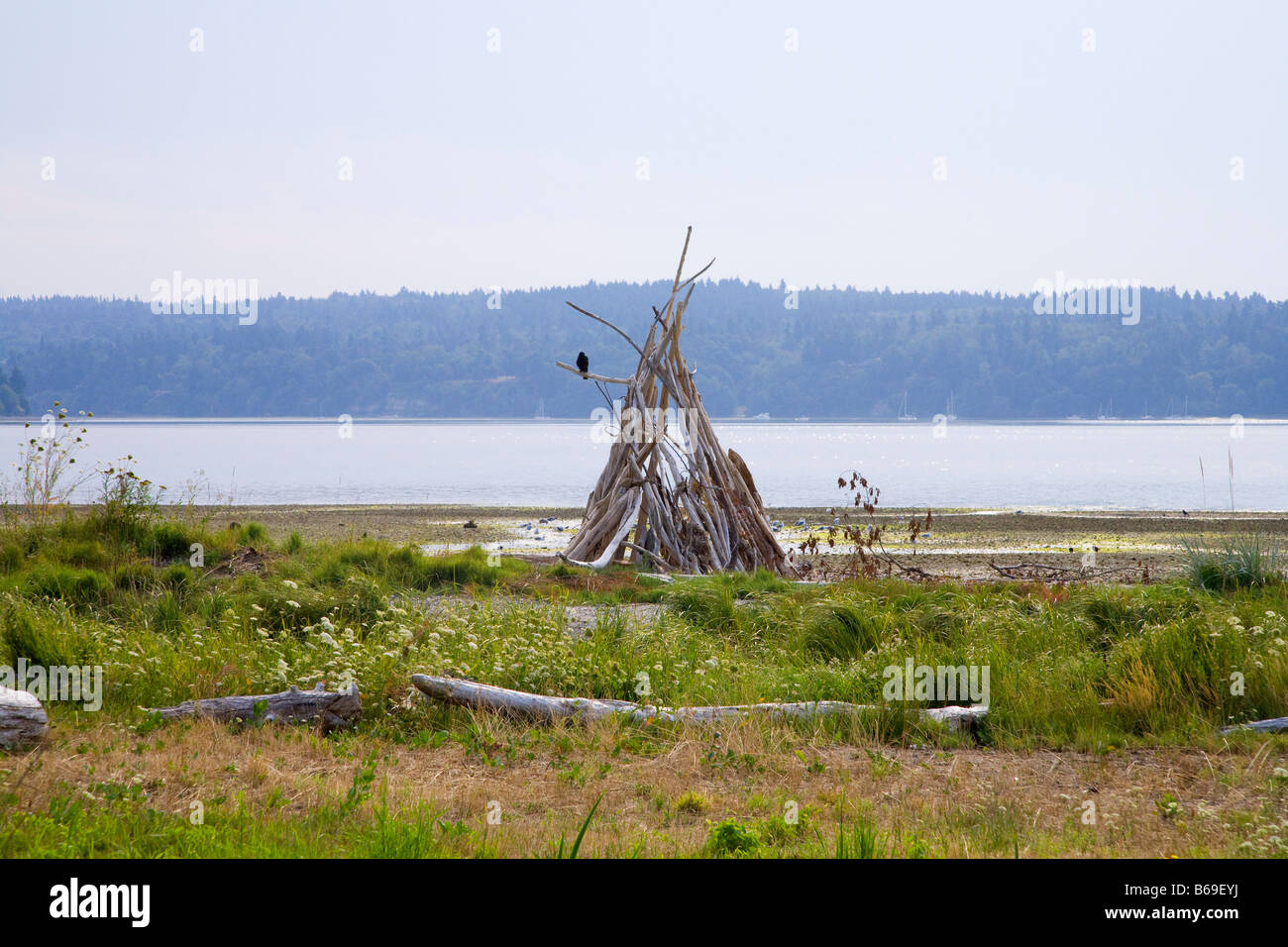 Washington state bird water hi-res stock photography and images - Alamy