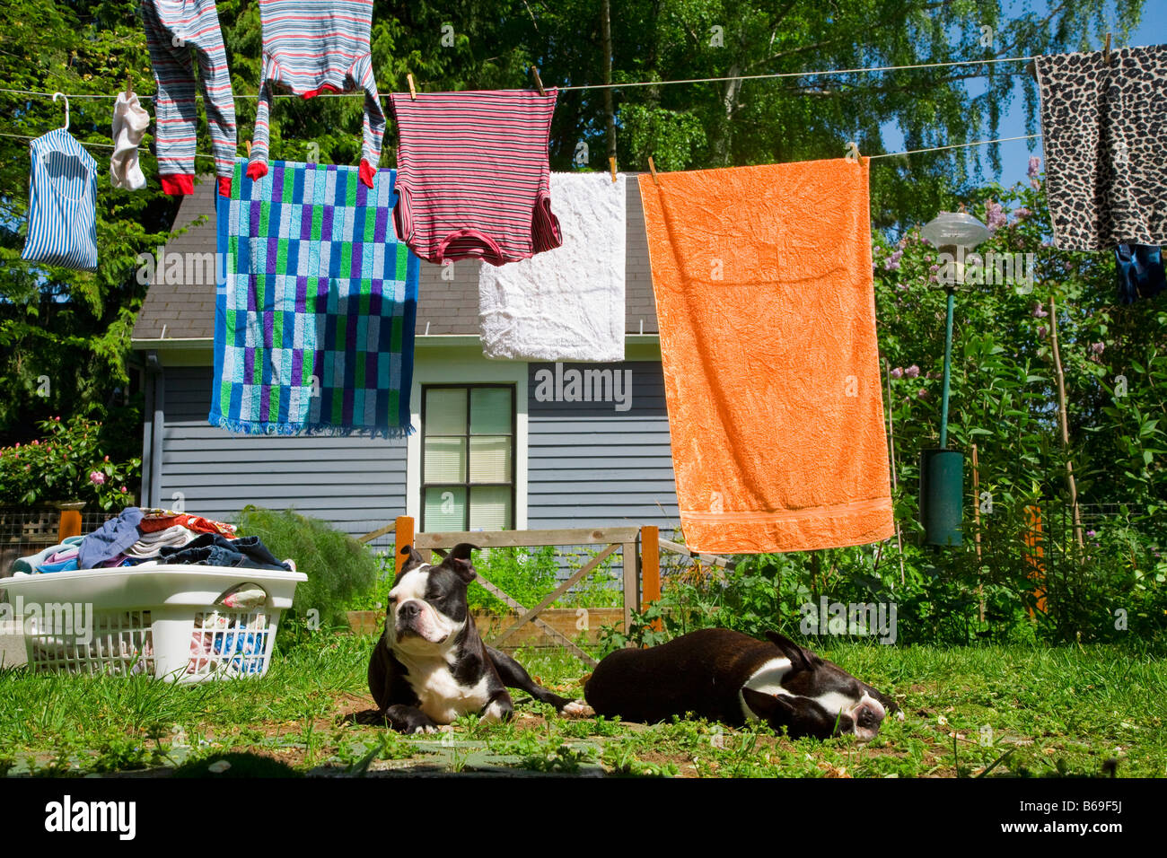 Clothes drying on a clothesline in front of a house Stock Photo - Alamy