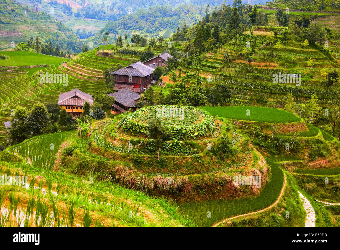 Jinkeng terraced fields hi-res stock photography and images - Alamy