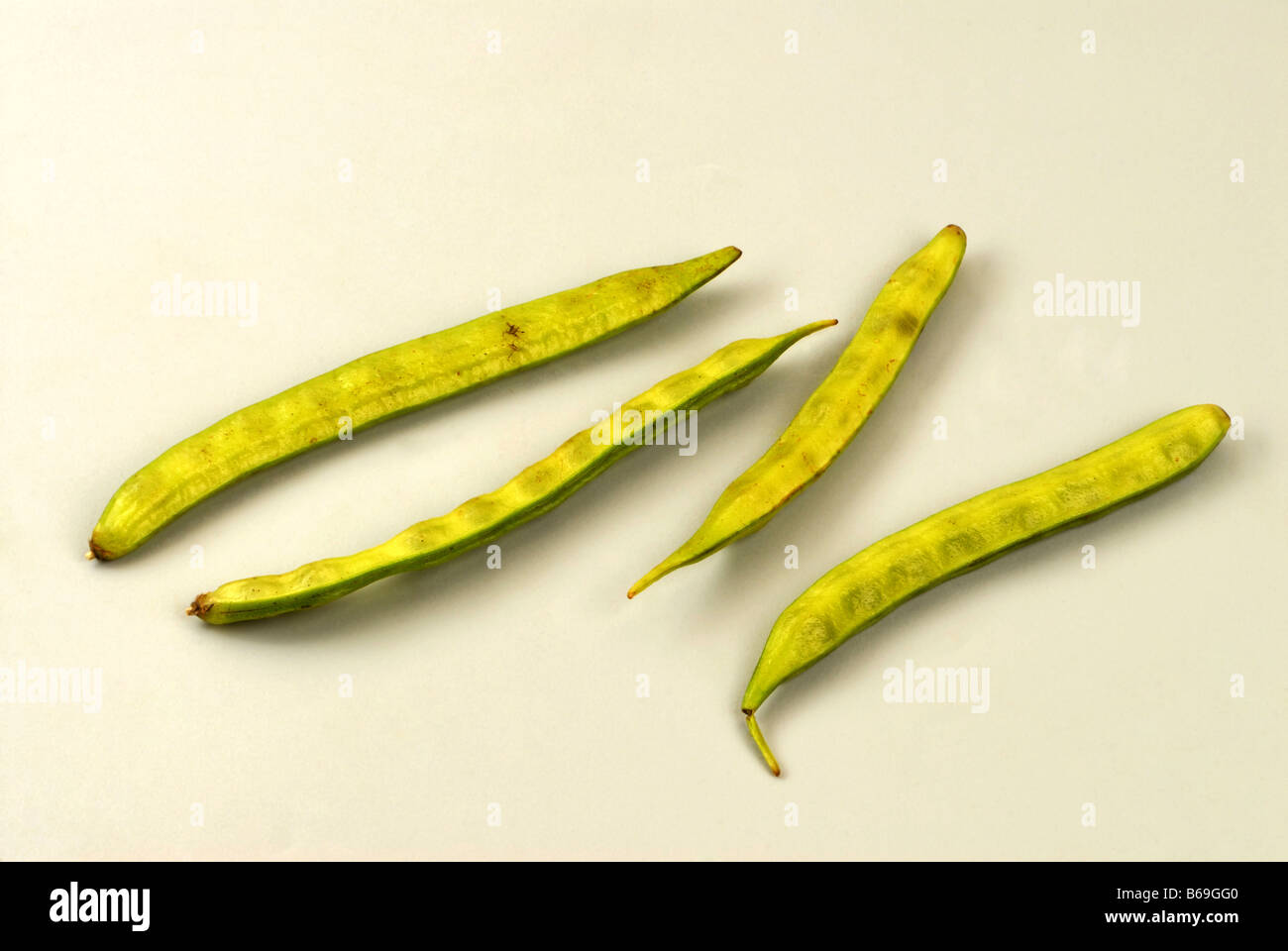 Amara payar hi-res stock photography and images - Alamy