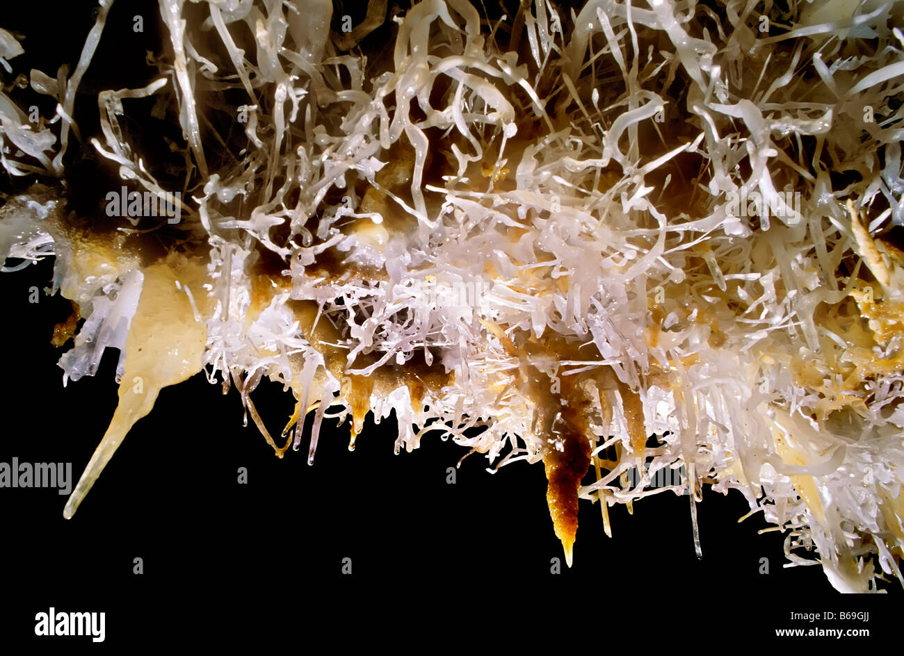 Helictites hi-res stock photography and images - Alamy