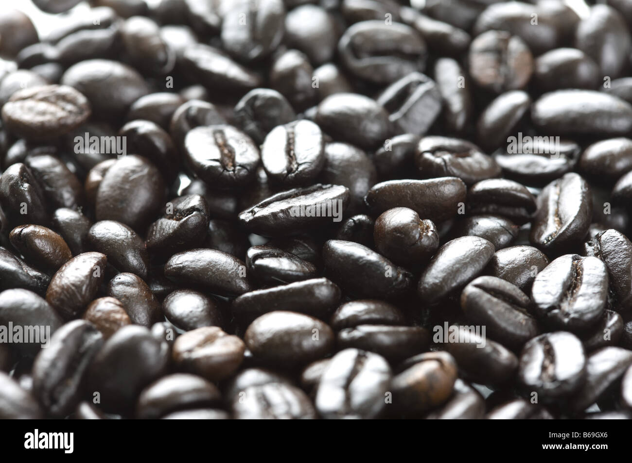 Close up of coffee beans Stock Photo - Alamy