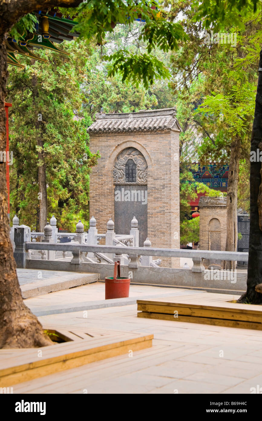 Trees in a temple, Shaolin Monastery, Mt Song, Henan Province, China ...
