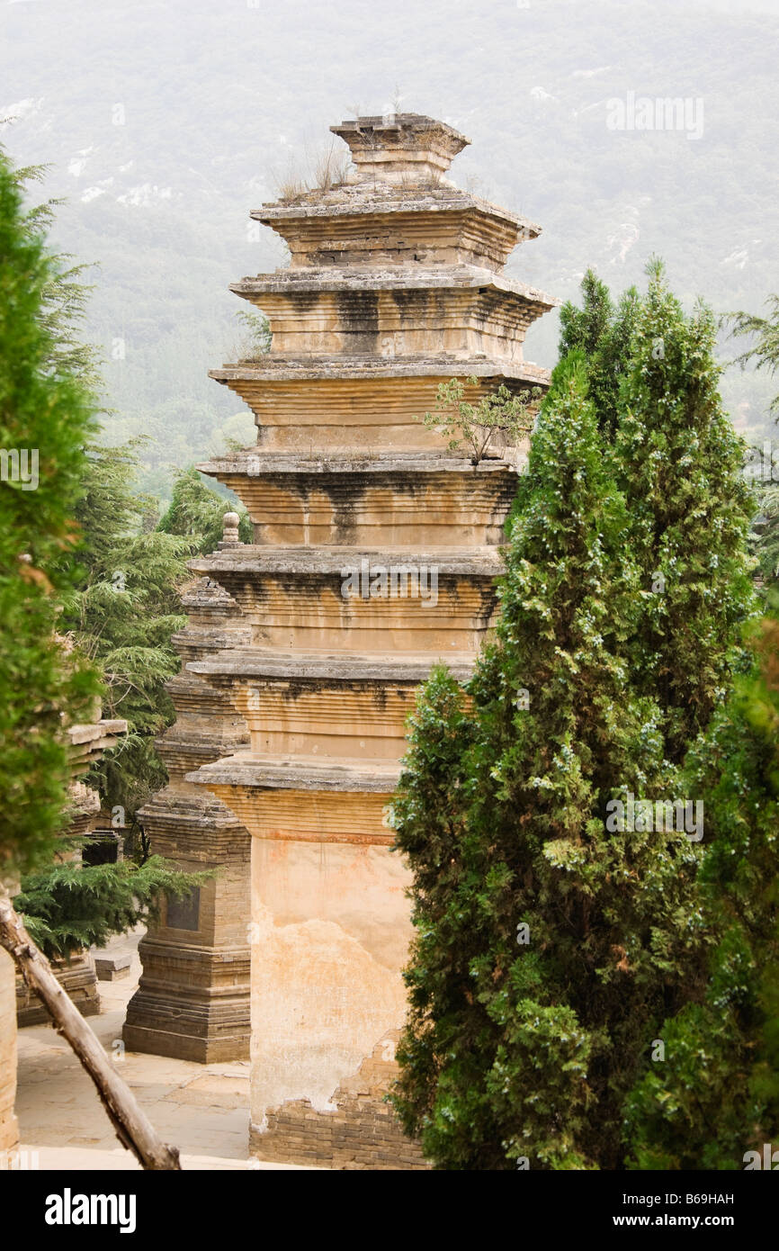 Pagoda forest at shaolin hi-res stock photography and images - Alamy