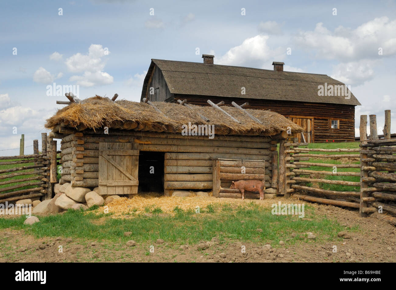 Pig barn hi-res stock photography and images - Alamy