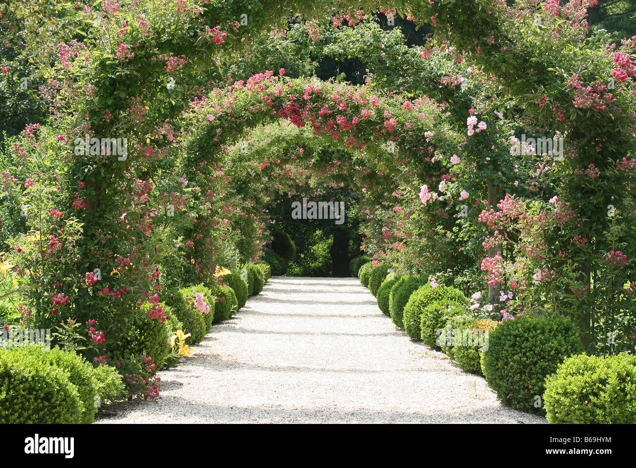 Pretty rose arch hi-res stock photography and images - Alamy