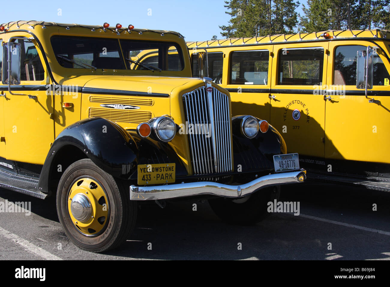 Yellowstone Park tour bus Stock Photo - Alamy