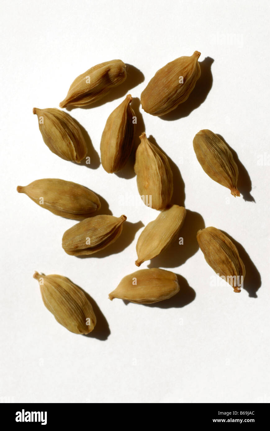 Elakkai hi-res stock photography and images - Alamy