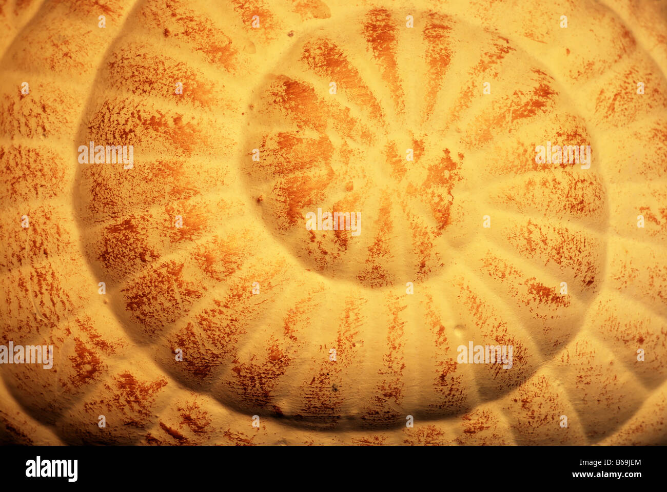 full frame close up of antique yellow plaster shell Stock Photo - Alamy