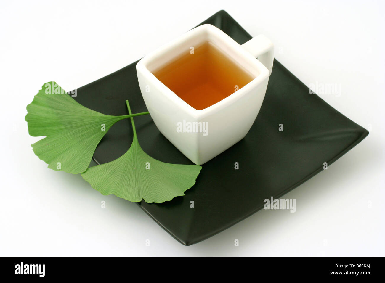Ginkgo infusion Ginkgo biloba Stock Photo - Alamy