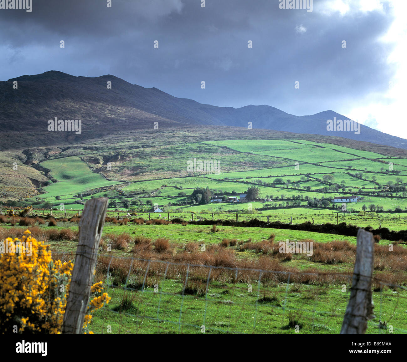 fields sloping towards the base of irelands highest mountain range ...