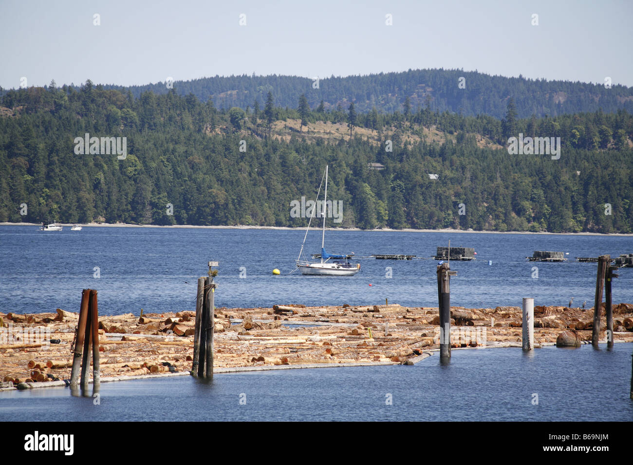 Vancouver island wasser hi-res stock photography and images - Alamy