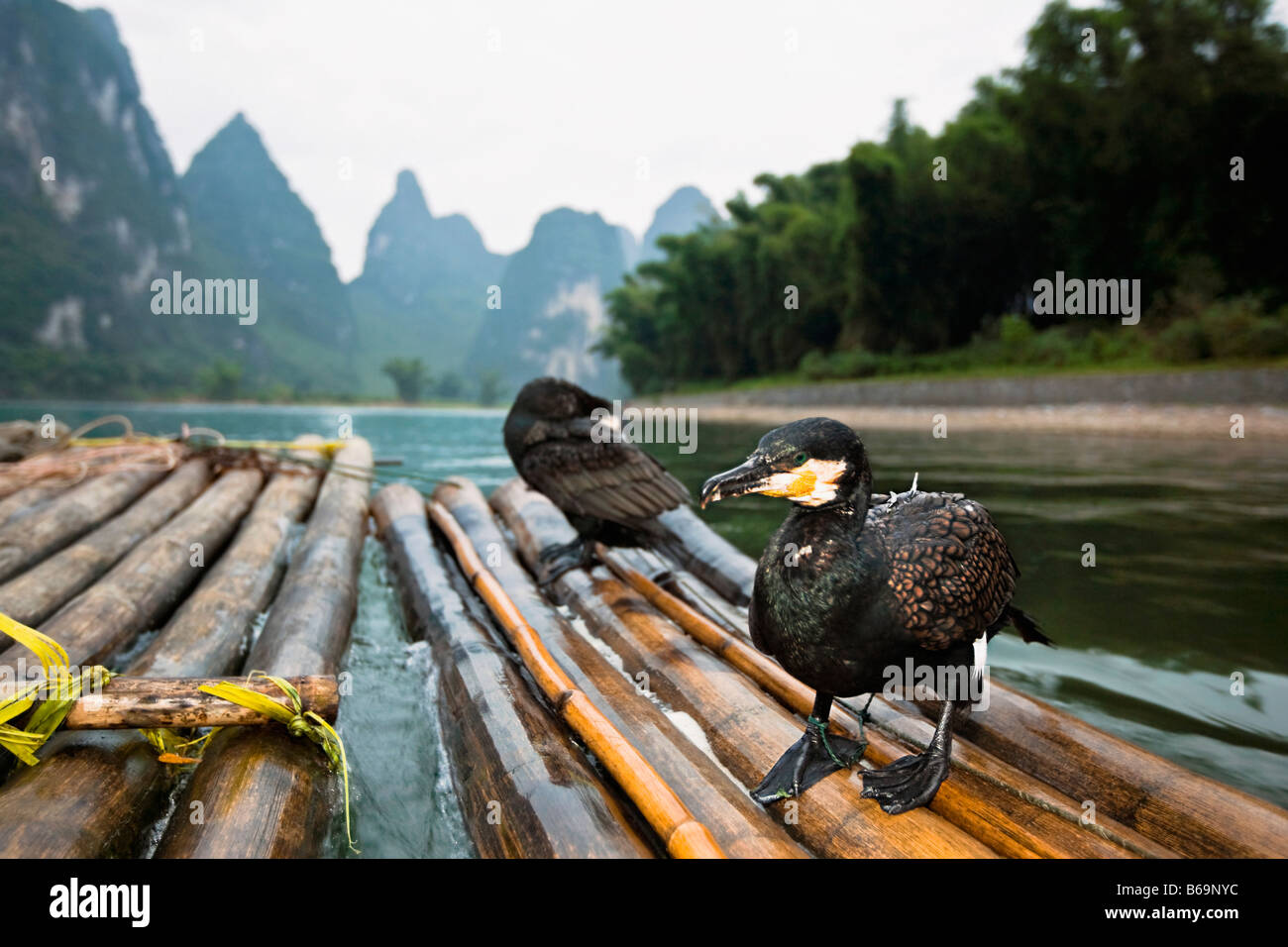 Wooden river raft hi-res stock photography and images - Alamy