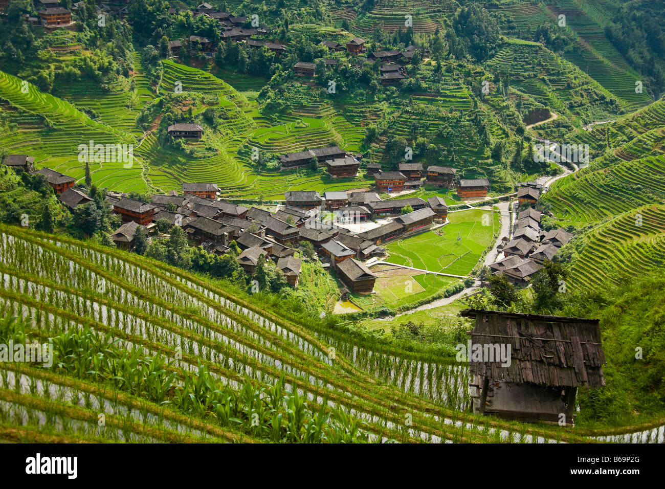 High angle view of a village in a hill range, Jinkeng Terraced Field ...