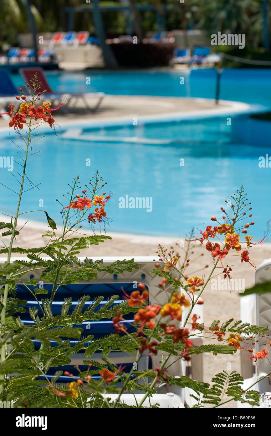 swimming pool at Blau Colonial Cayo Coco Cuba Stock Photo - Alamy