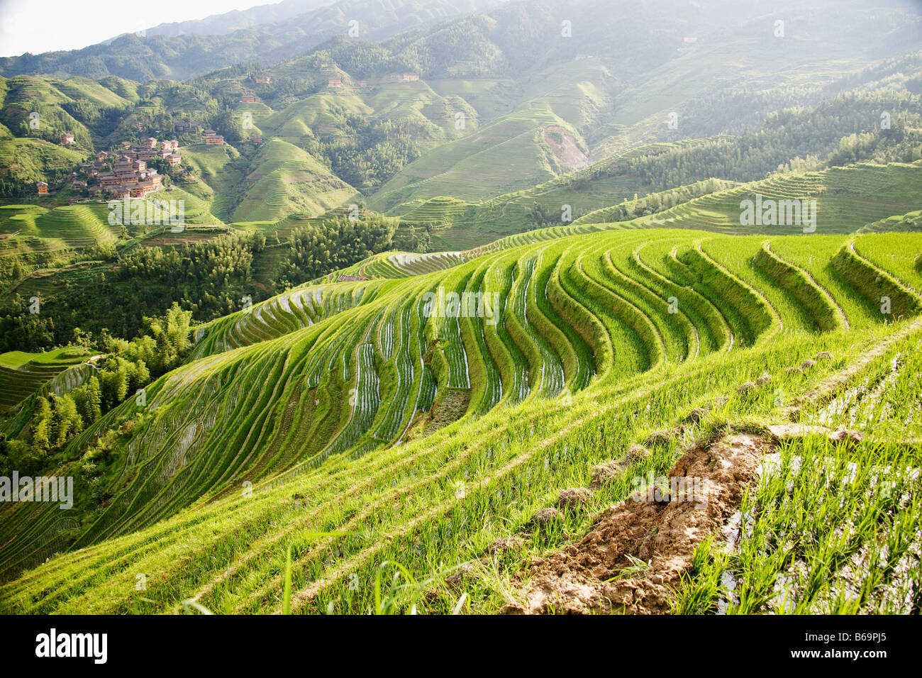 Jinkeng hi-res stock photography and images - Alamy