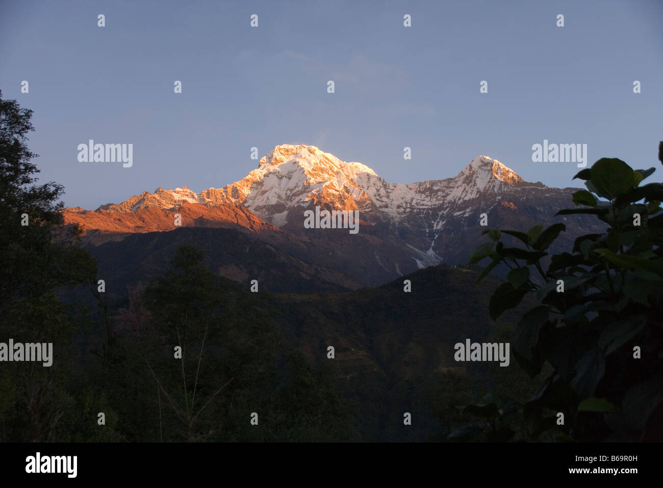 Dawn over Annapurna South Mountain from the Ker and Downey Himalaya ...