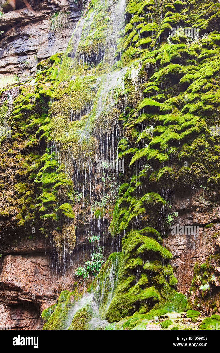 Yuntai waterfall hi-res stock photography and images - Alamy