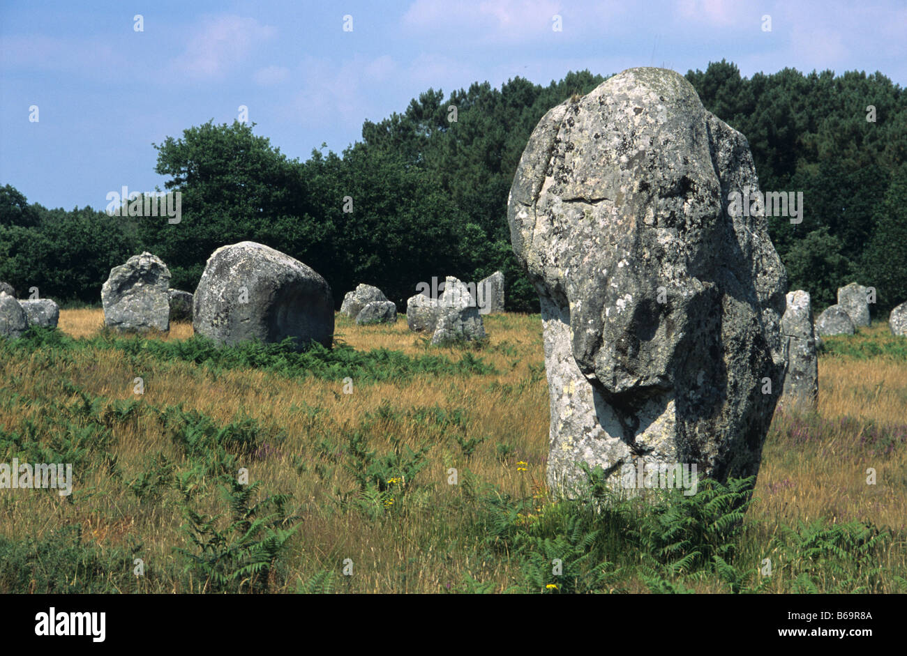 Alignment of kerlescan hi-res stock photography and images - Alamy