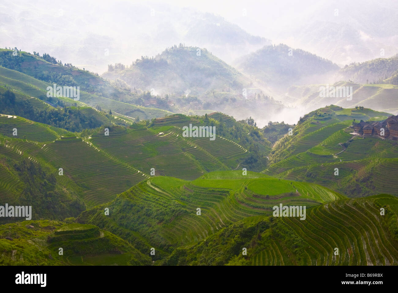 House terraced field hi-res stock photography and images - Alamy