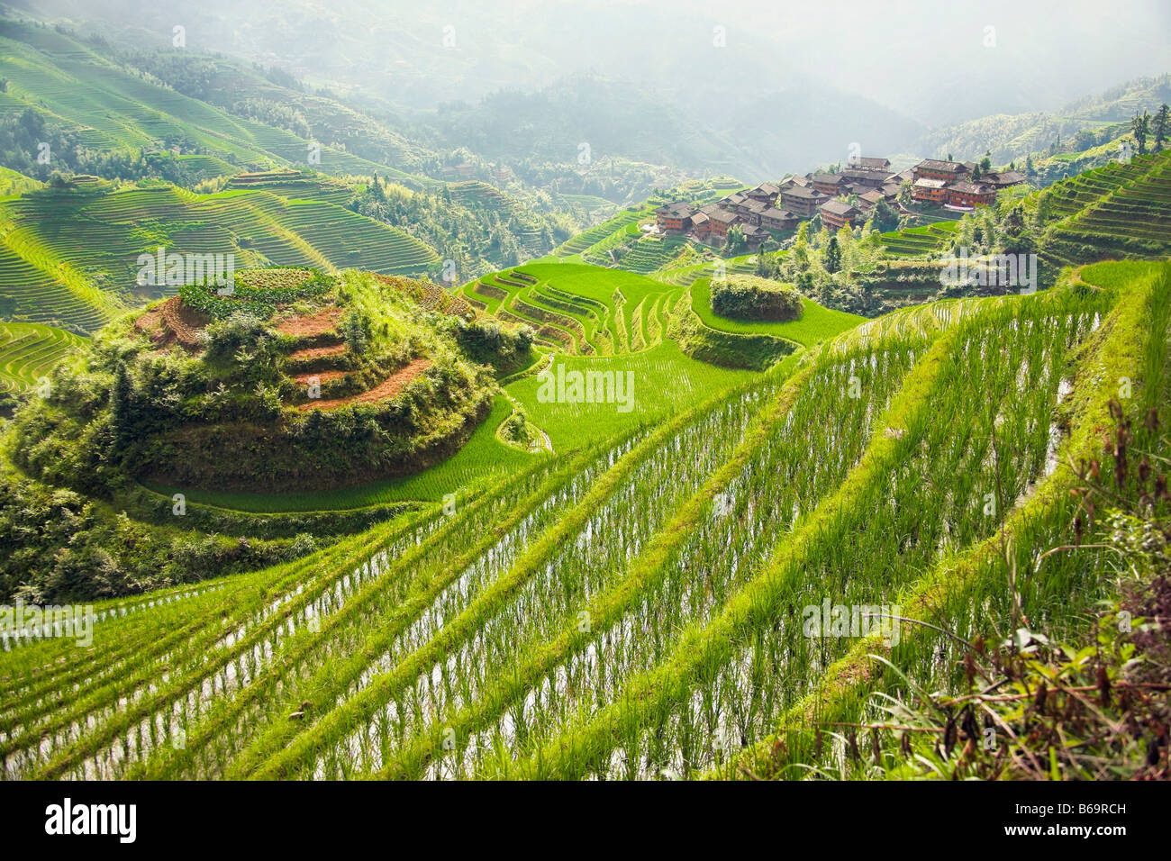 High angle view of terraced rice fields, Jinkeng Terraced Field ...