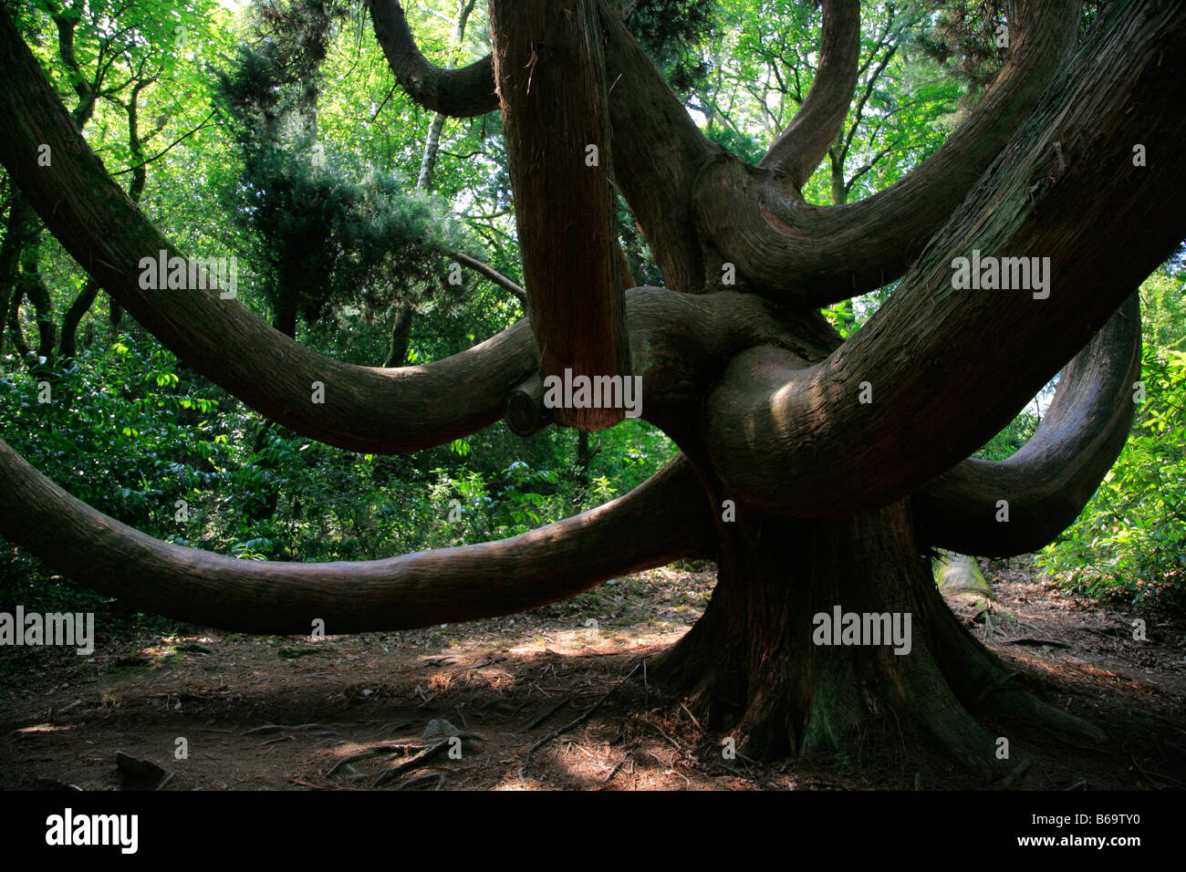 Meirion hi-res stock photography and images - Alamy