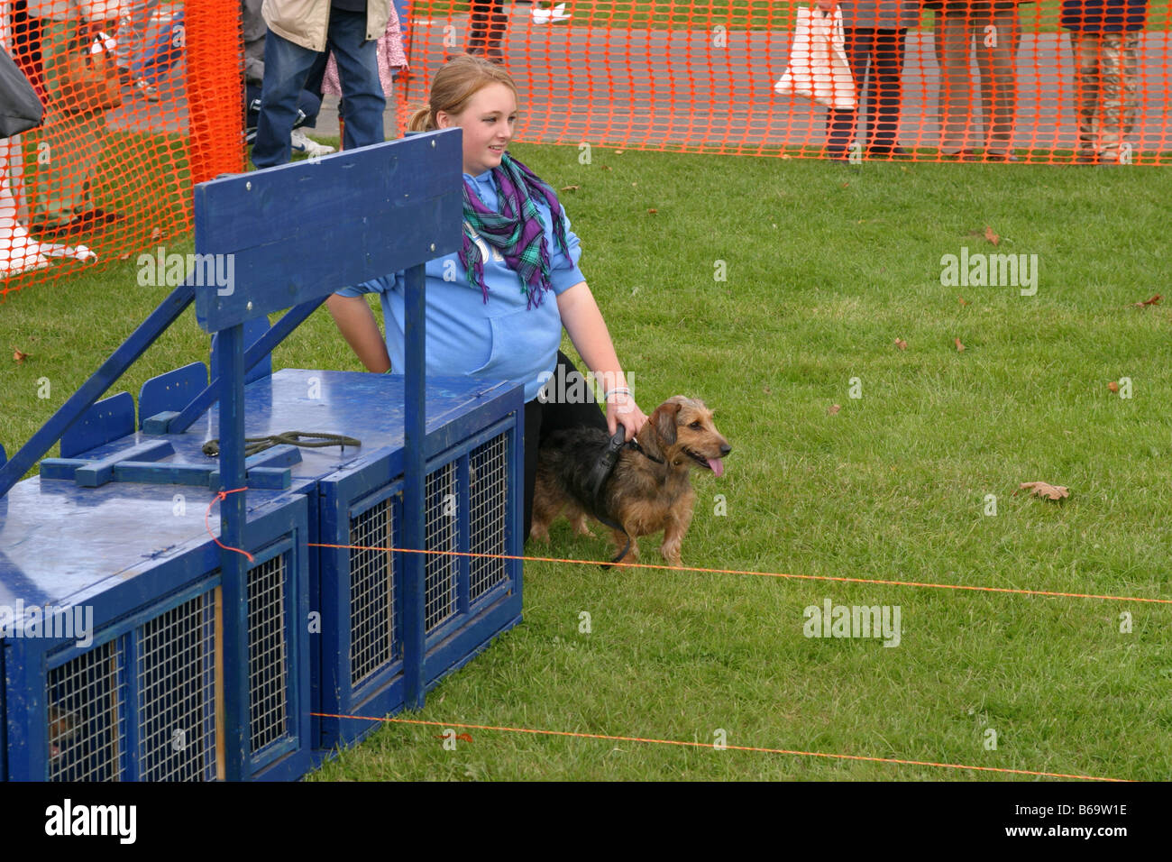 Terrier racing uk hi-res stock photography and images - Alamy