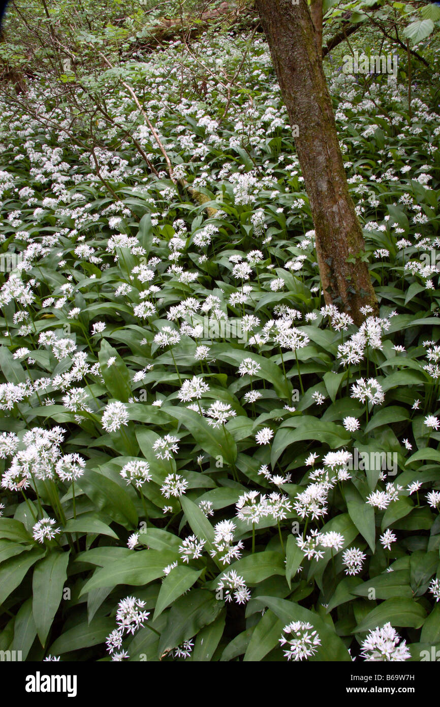 Ra many hi-res stock photography and images - Alamy