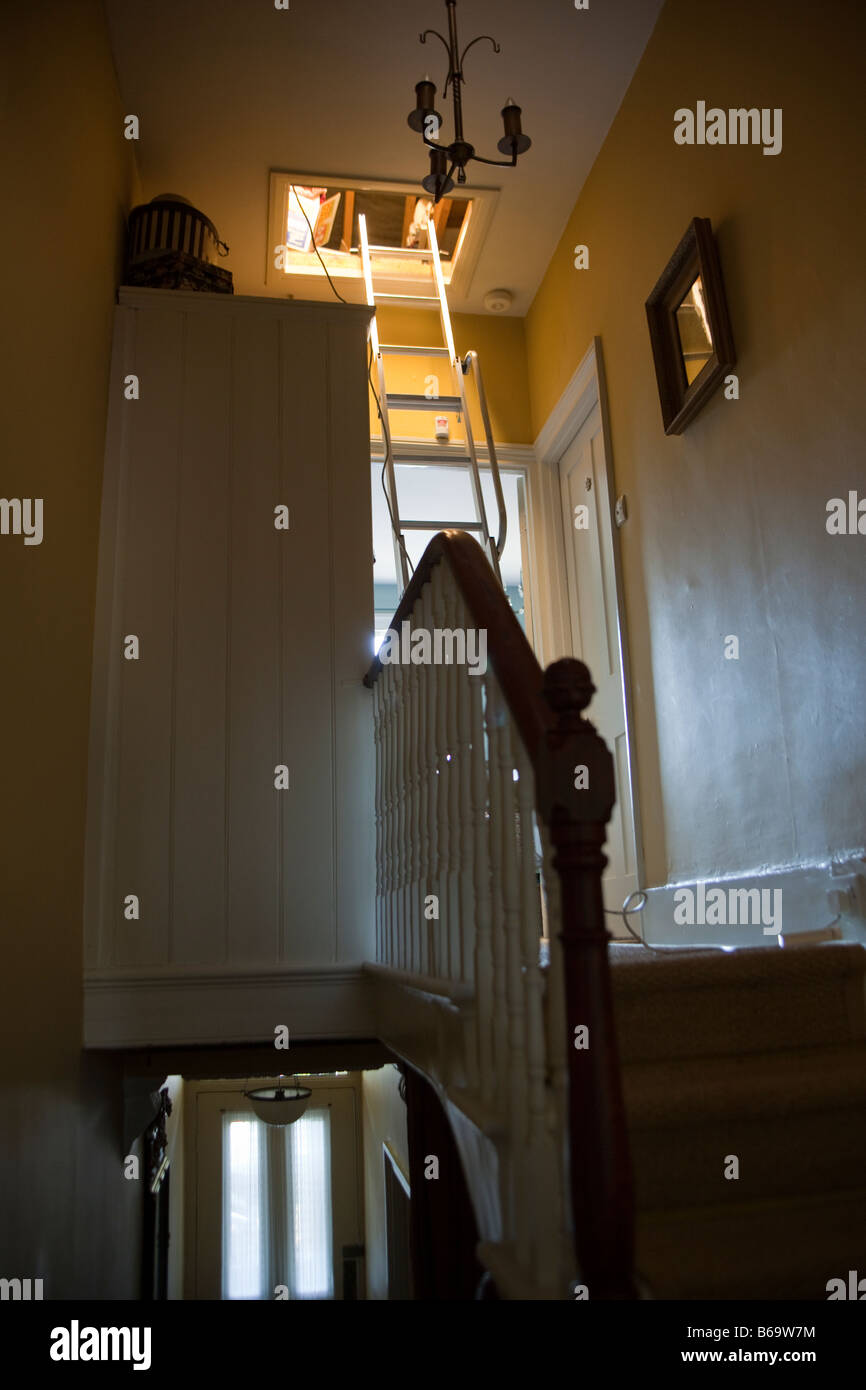 loft ladder leading to loft hatch in hallway of an edwardian semi ...