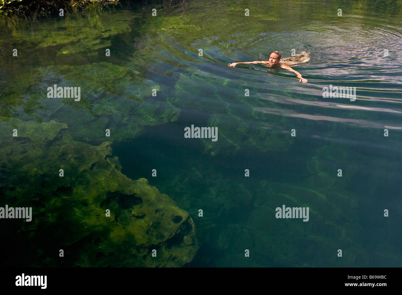 Mexico, Quintana Roo, Tulum, Waterpool (cenote) in mangrove forest ...