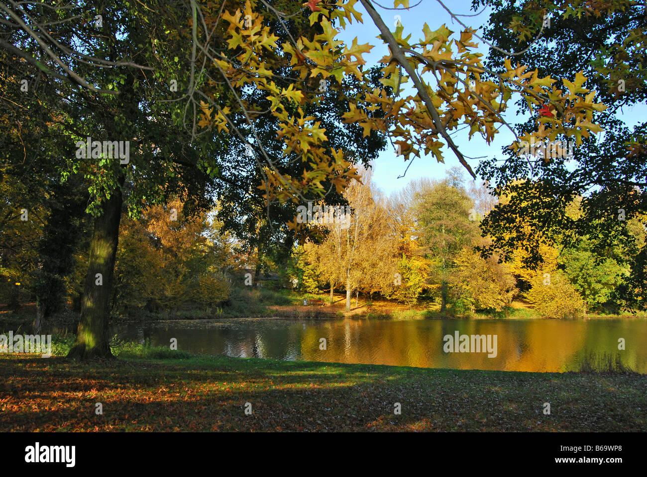 autumnal trees and pond in local park Roermond Netherlands Stock Photo ...