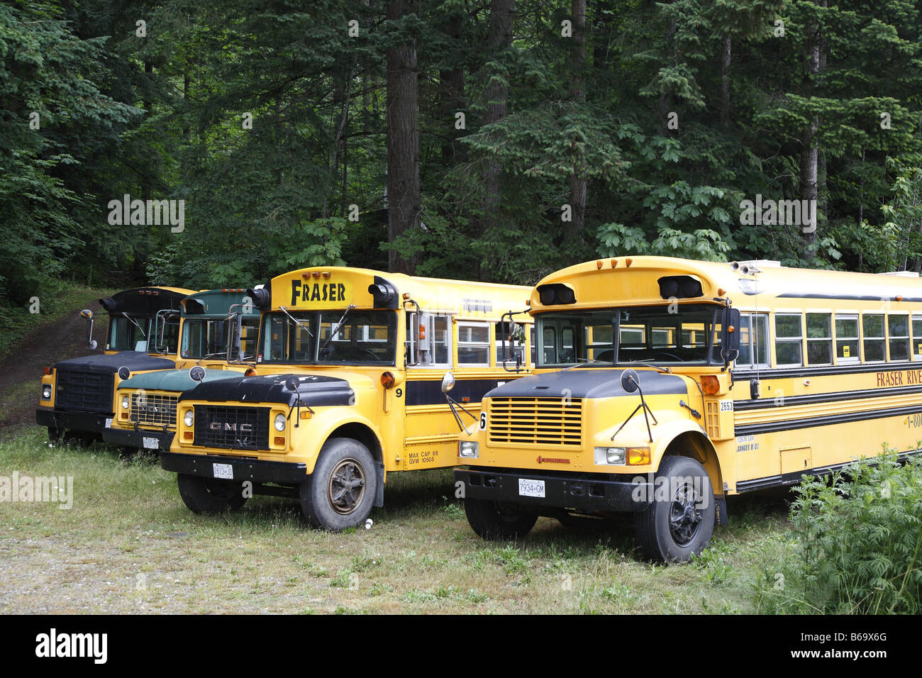 Canada Kanada BC Britisch British Columbia School Bus Stock Photo - Alamy