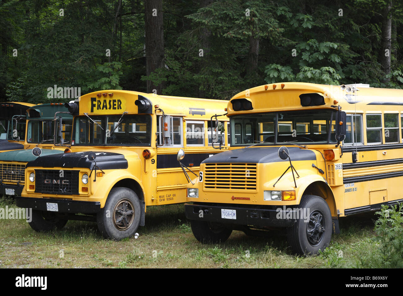 Canada Kanada BC Britisch British Columbia School Bus Stock Photo - Alamy