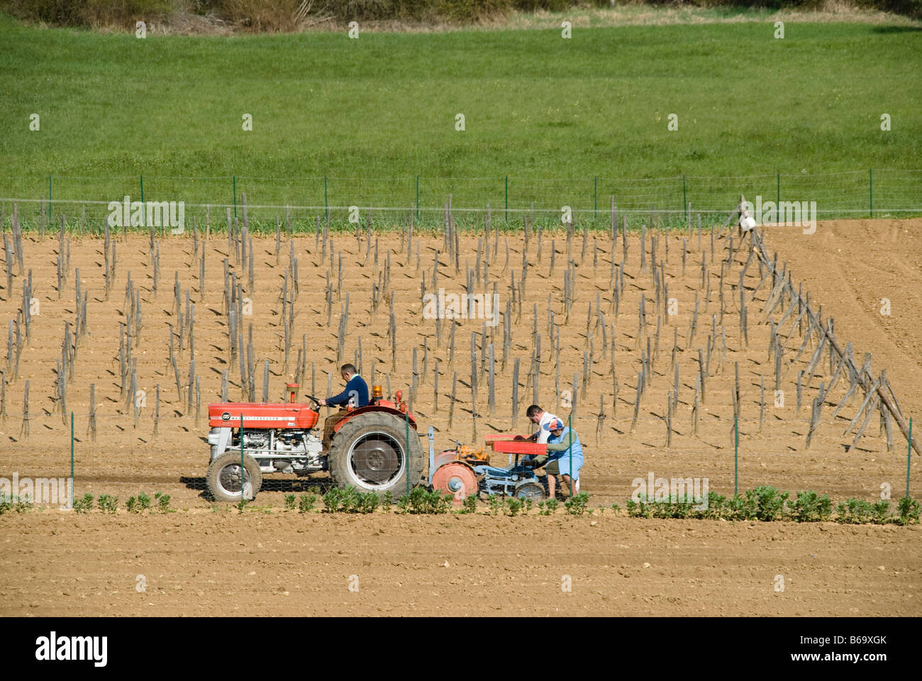 Tractor sewing seed Stock Photo - Alamy