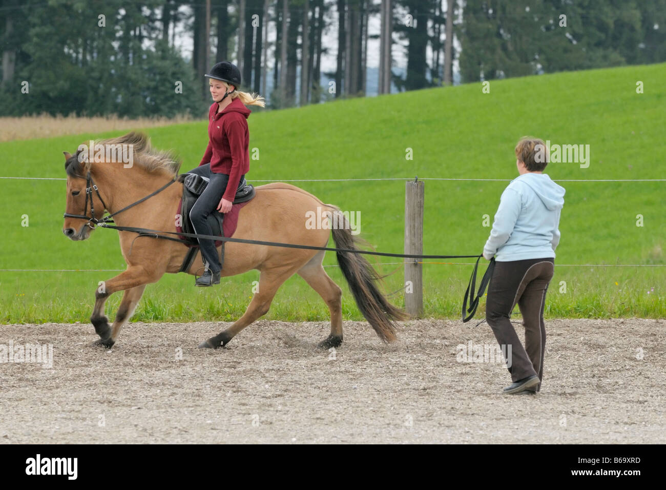 Lunge lesson horse hi-res stock photography and images - Alamy