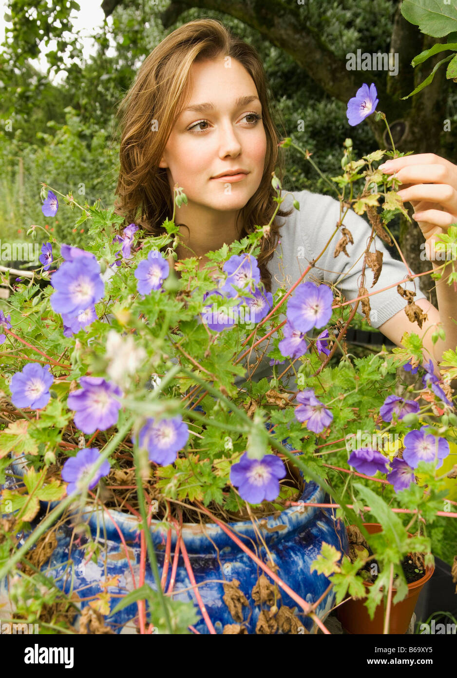 A female looking at a purple flower Stock Photo - Alamy