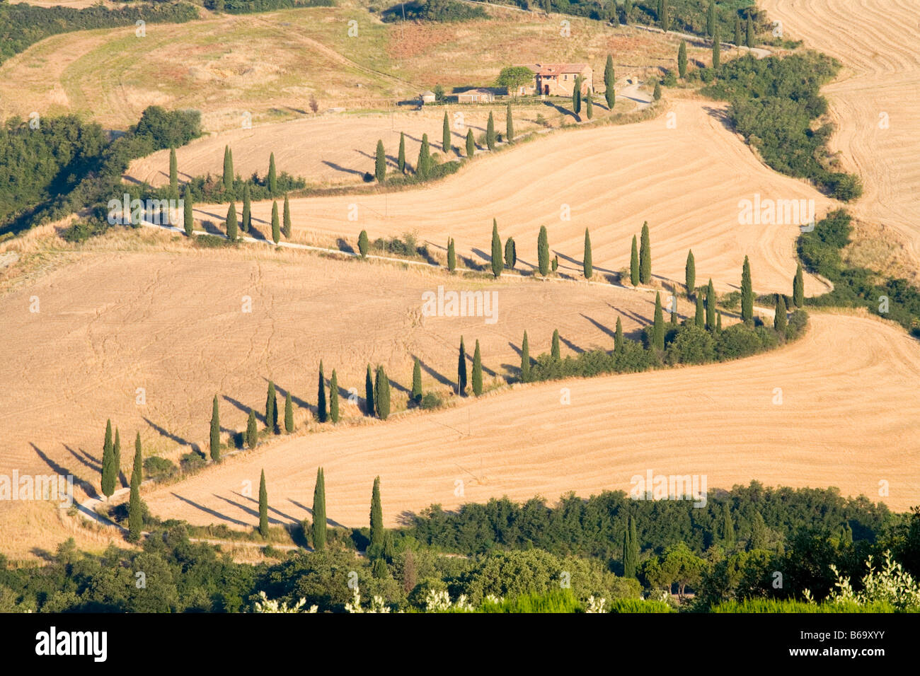 winding road near Pienza with columnar Cypress trees, Tuscany, Italy ...