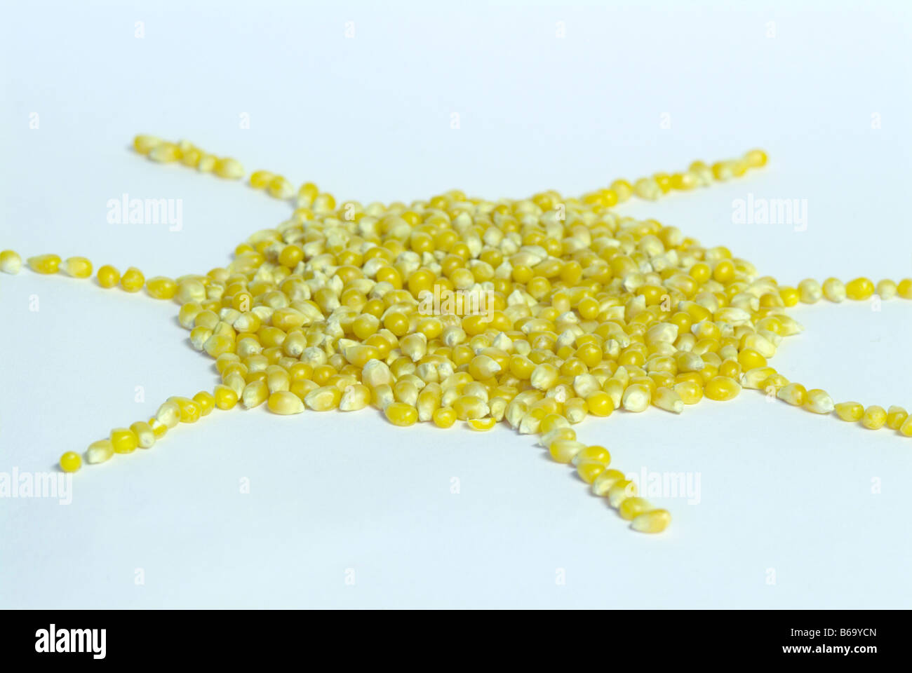 Sun Shaped Maize Stock Photo - Alamy