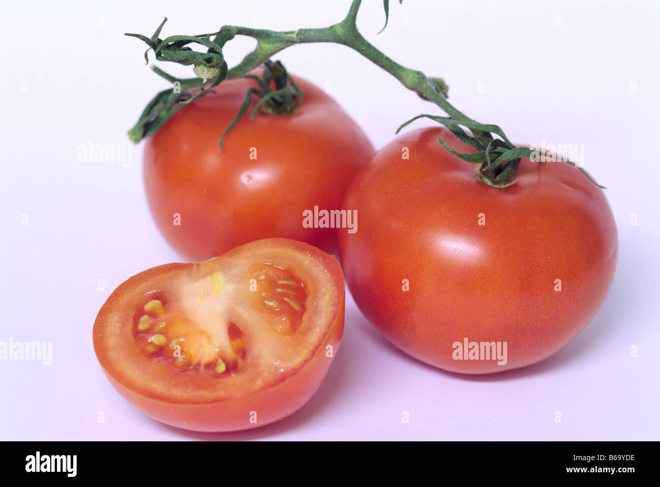 Sliced vines hi-res stock photography and images - Alamy