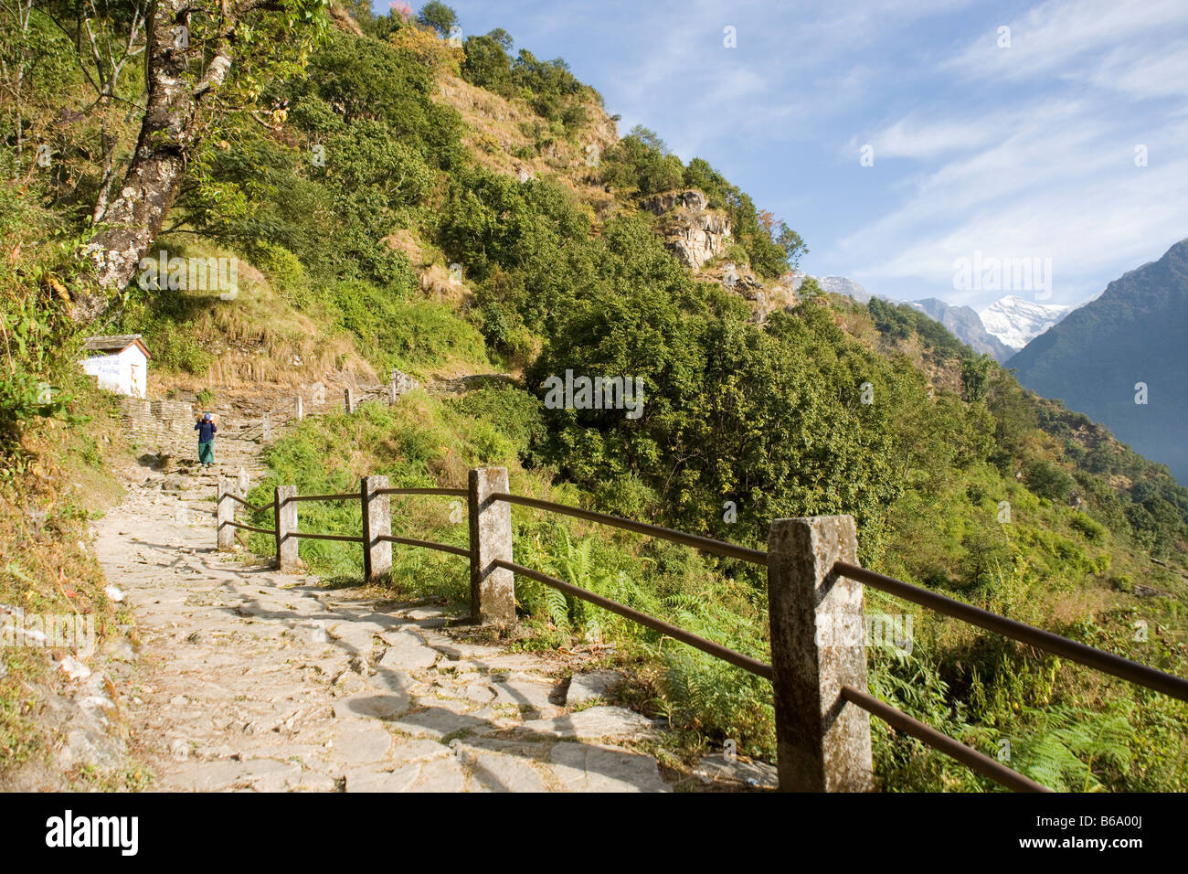 Porter on the path from Ghandruk village in the Modi river Valley in ...