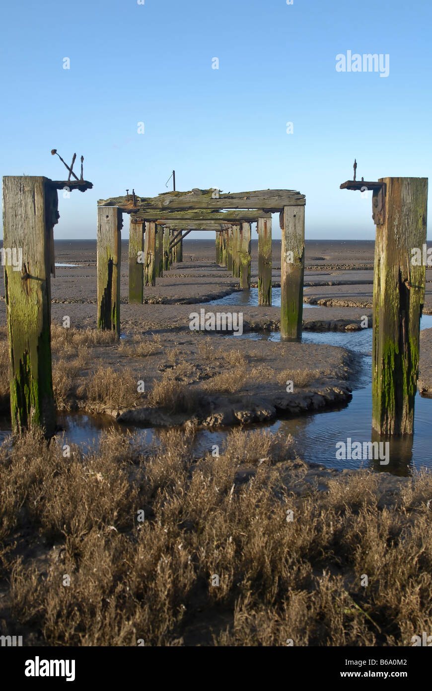 Norfolk snettisham the wash hi-res stock photography and images - Alamy