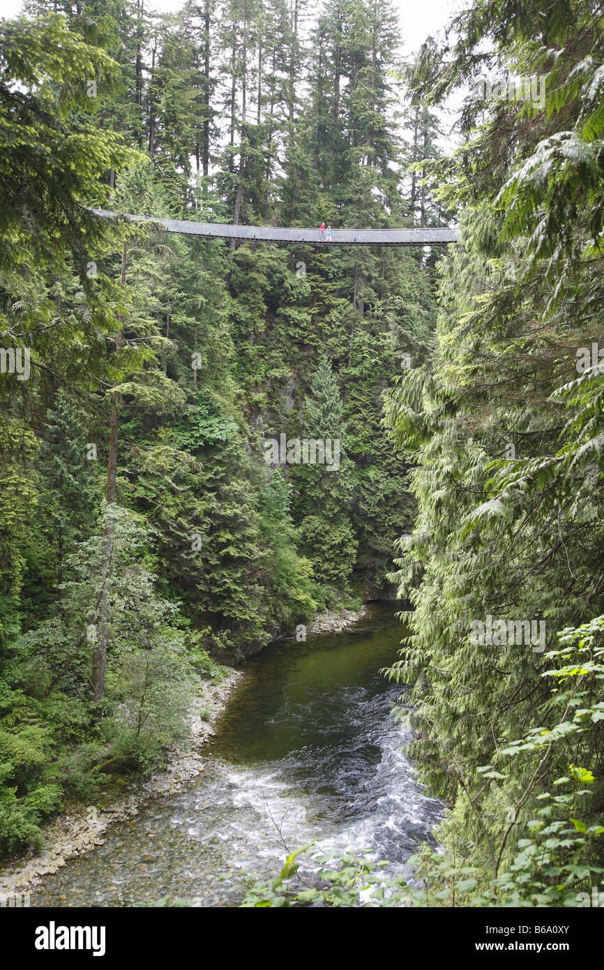 Capilano fluss kanada hi-res stock photography and images - Alamy
