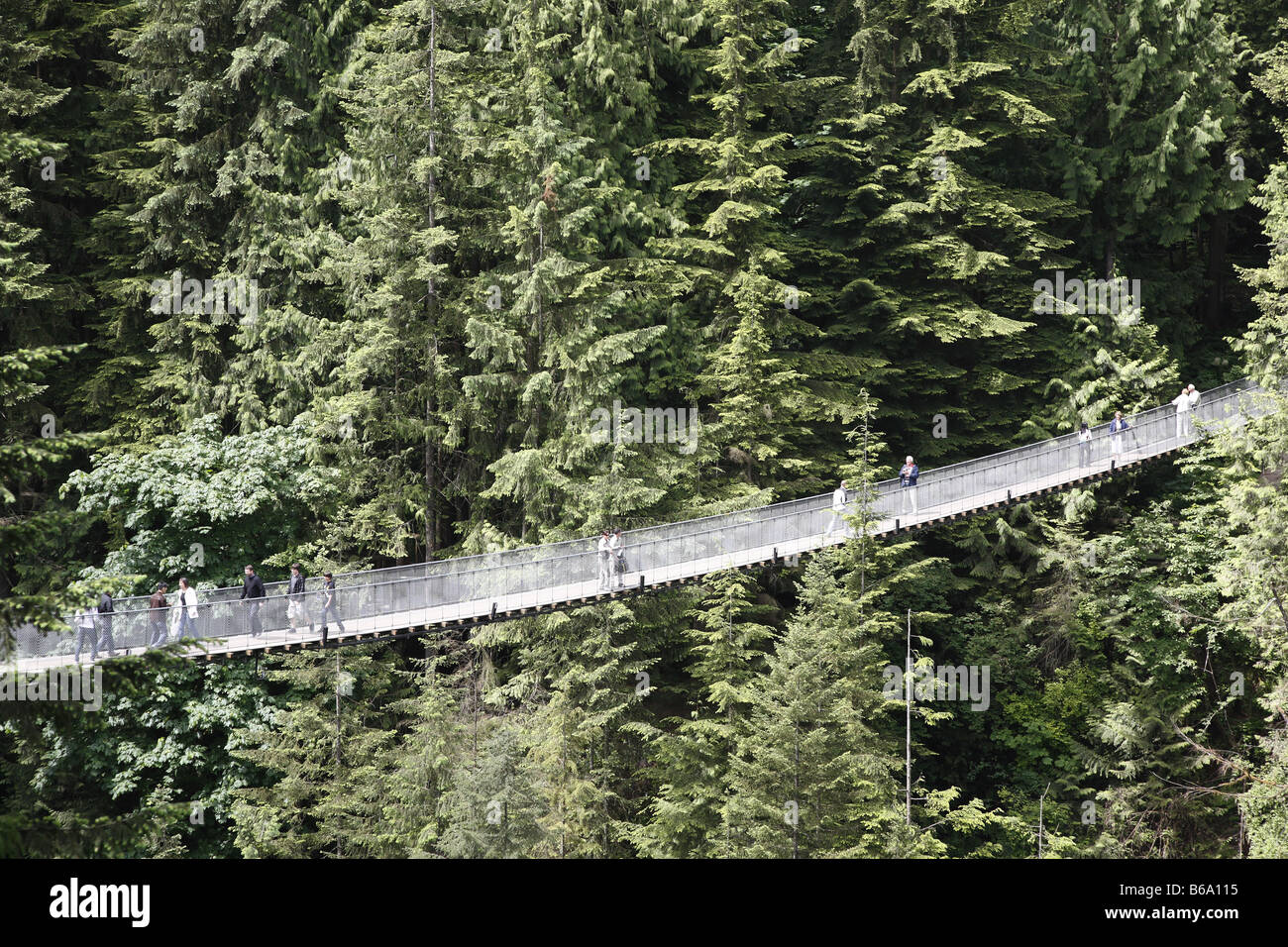 Capilano suspension bridge hi-res stock photography and images - Alamy