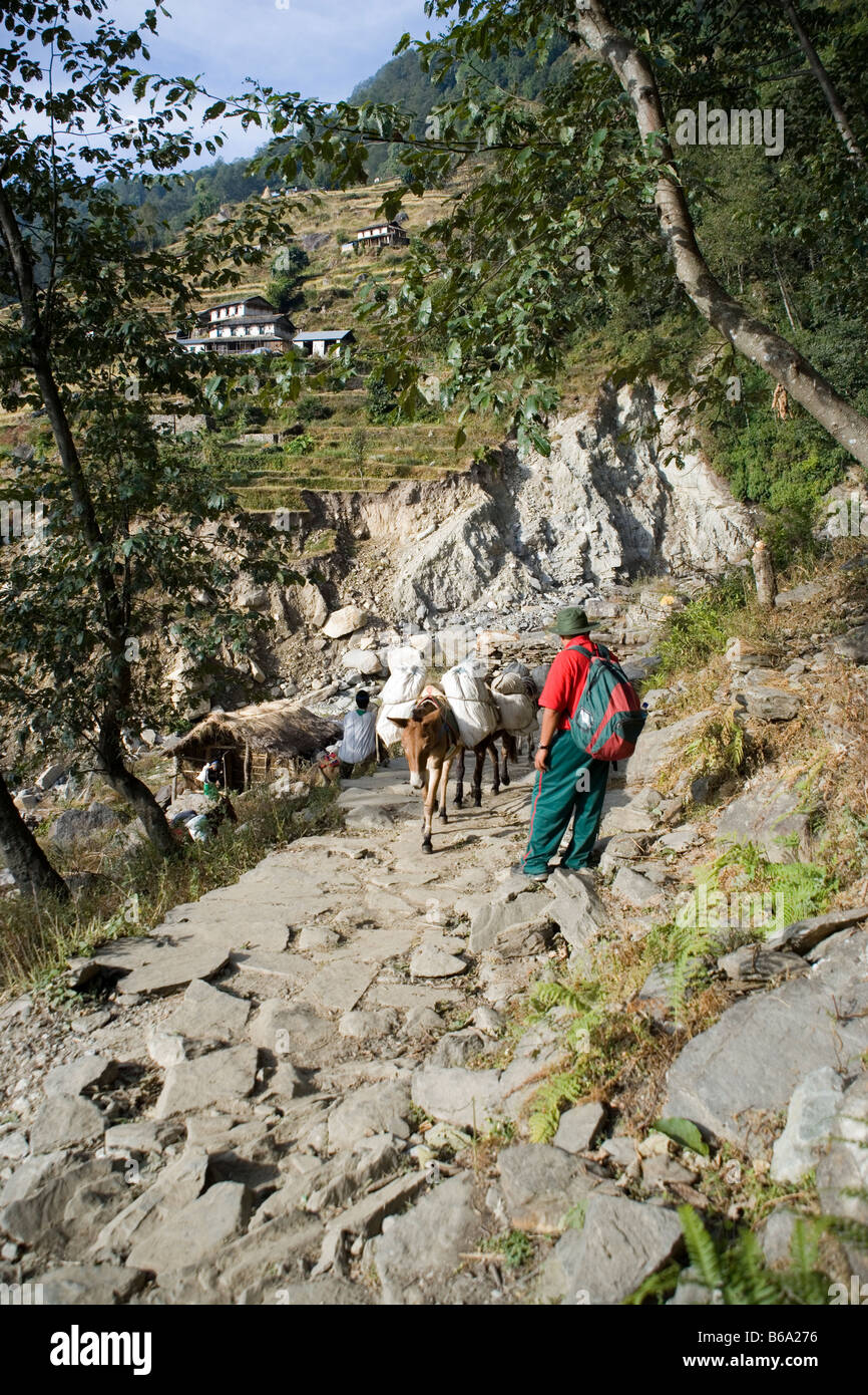 Donkey train hi-res stock photography and images - Alamy